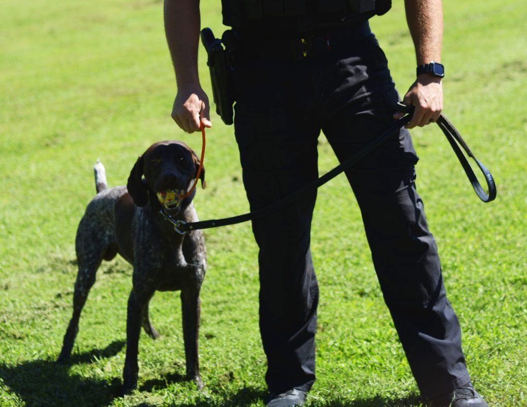 K9 Unit returns to Collegedale Police - Southern Accent
